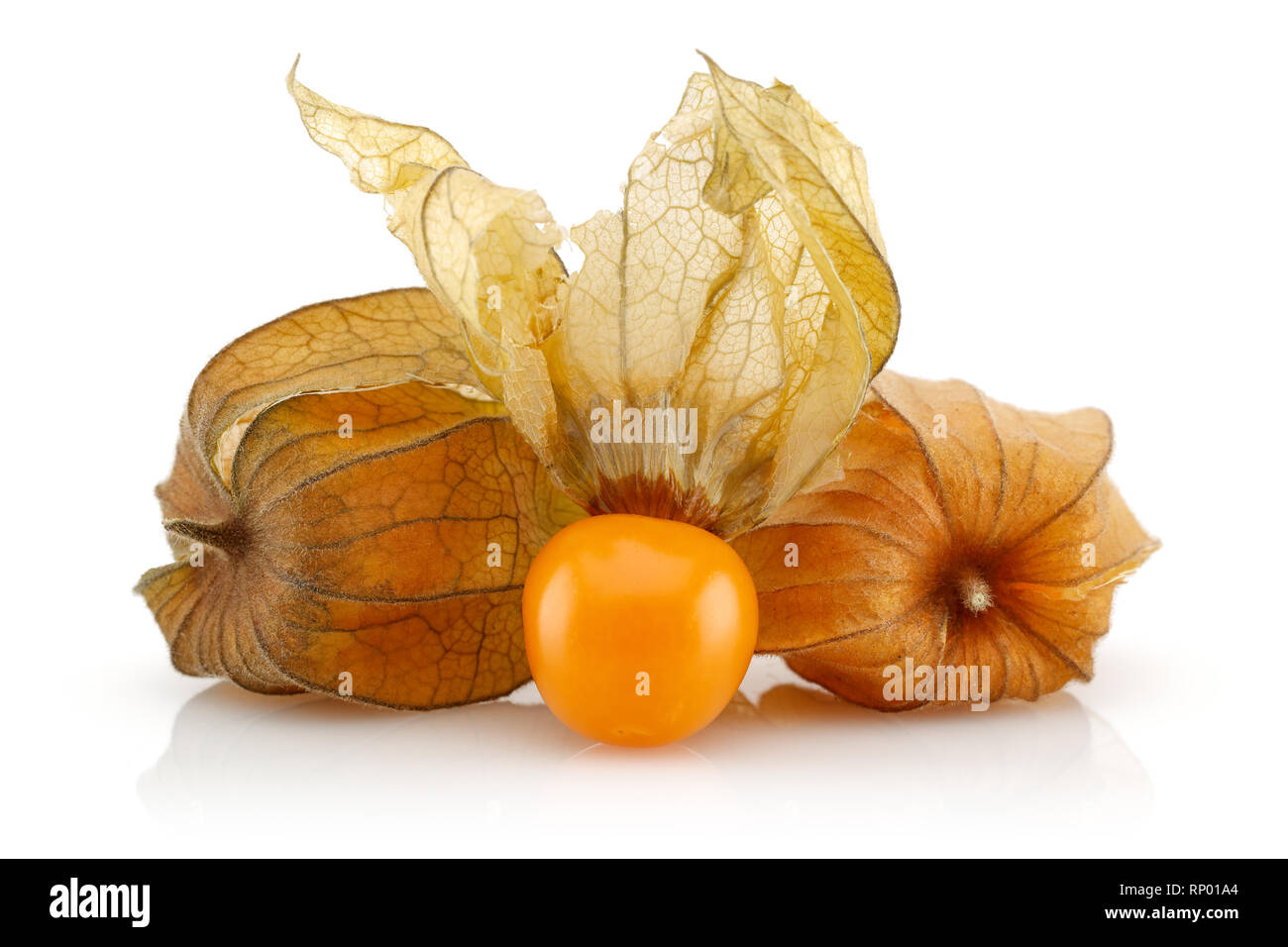 Physalis fruit or golden berry isolated on white background Stock Photo ...
