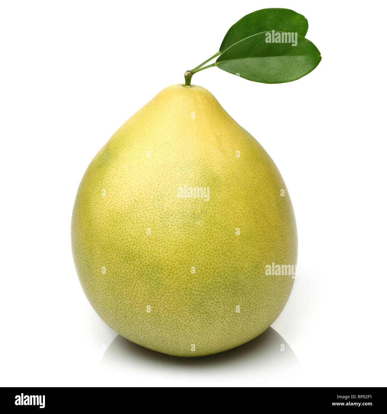 Fresh pomelo fruit isolated on white background Stock Photo - Alamy
