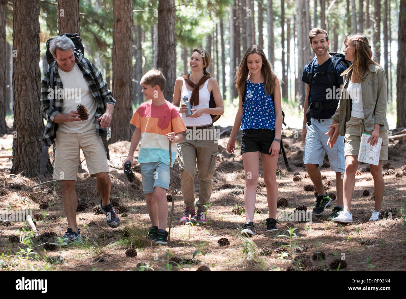 Family hiking in forest Stock Photo - Alamy