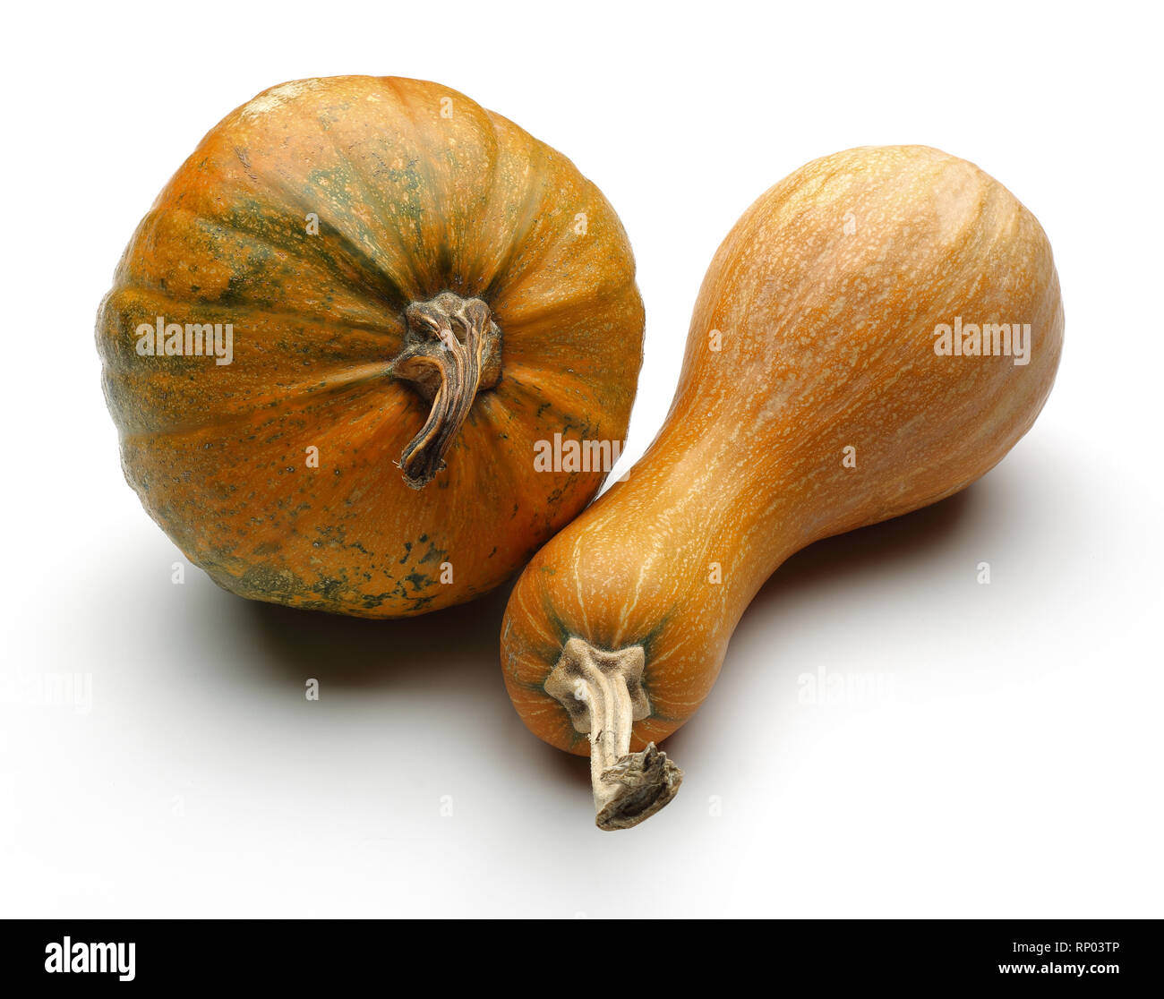 Whole pumpkin and squash isolated on white background Stock Photo - Alamy