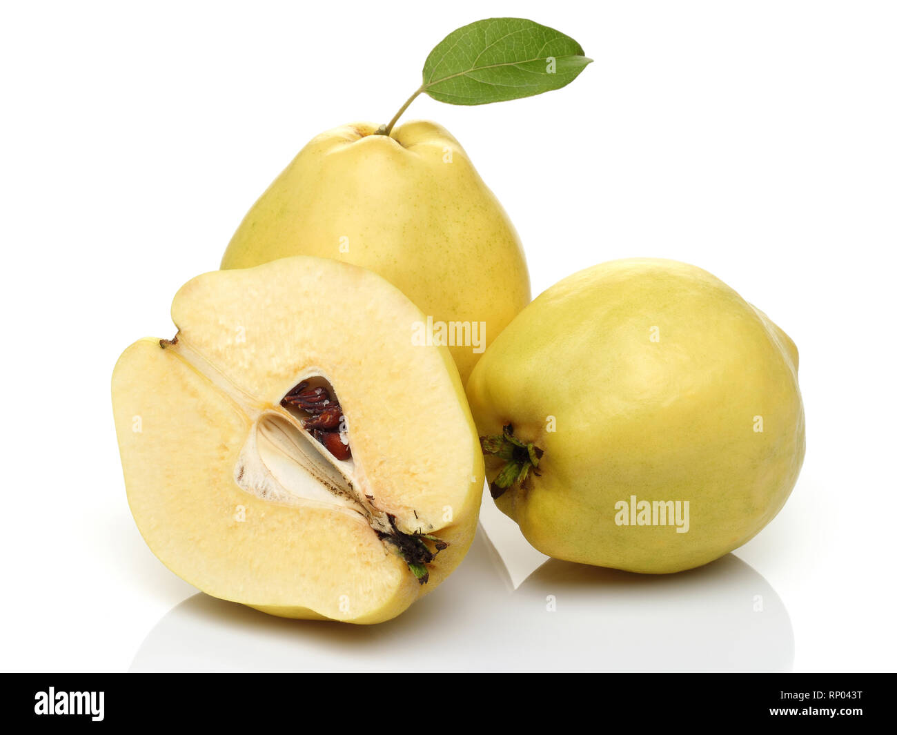 Fresh Quince fruits with leaf isolated on white background Stock Photo ...