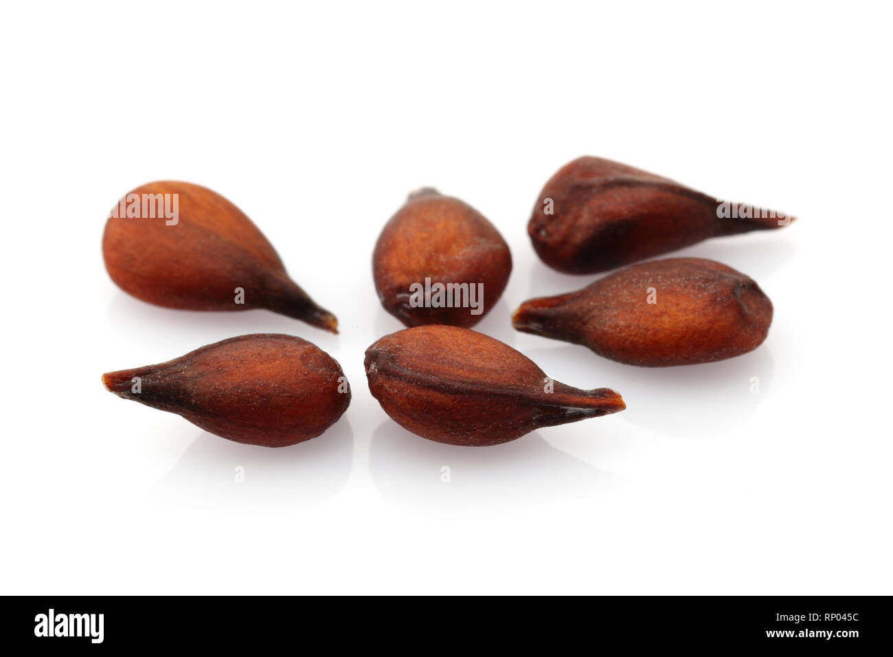Quince fruit seeds isolated on white background Stock Photo - Alamy