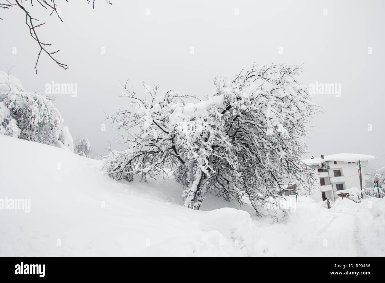 Unique house snow hi-res stock photography and images - Alamy