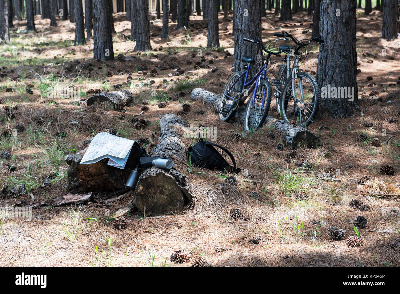 View of bicycles and map in forest Stock Photo - Alamy