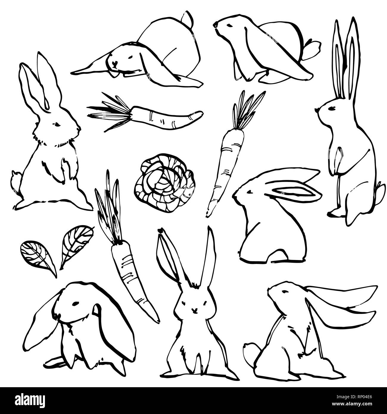 Rabbit Characters Design