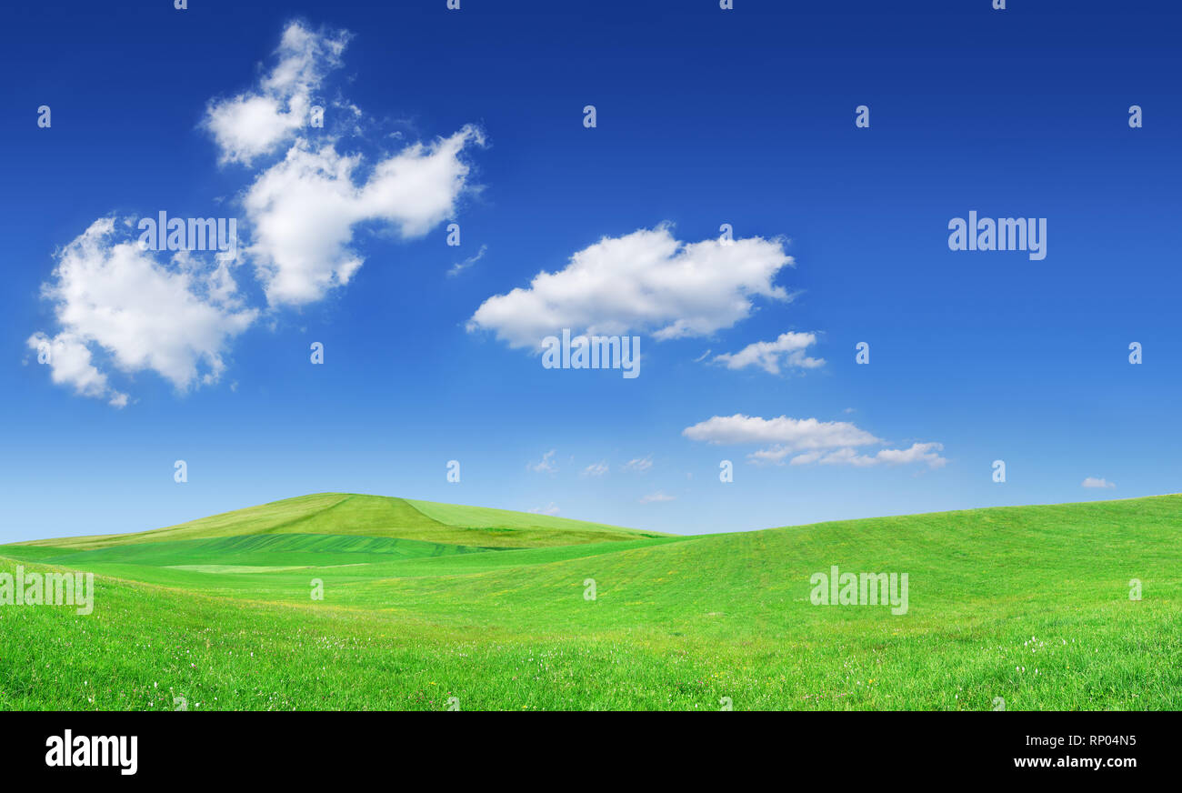 Idyllic landscape, green field, blue sky and white clouds Stock Photo ...