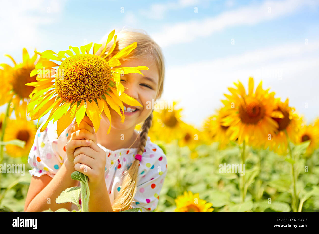 Child playing in sunflower field on sunny summer day. little girl plays ...