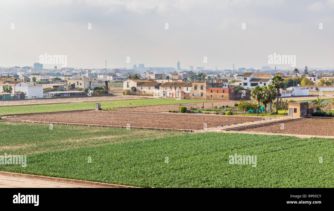 Countryside surrounding the city of Valencia in Spain, also called the ...