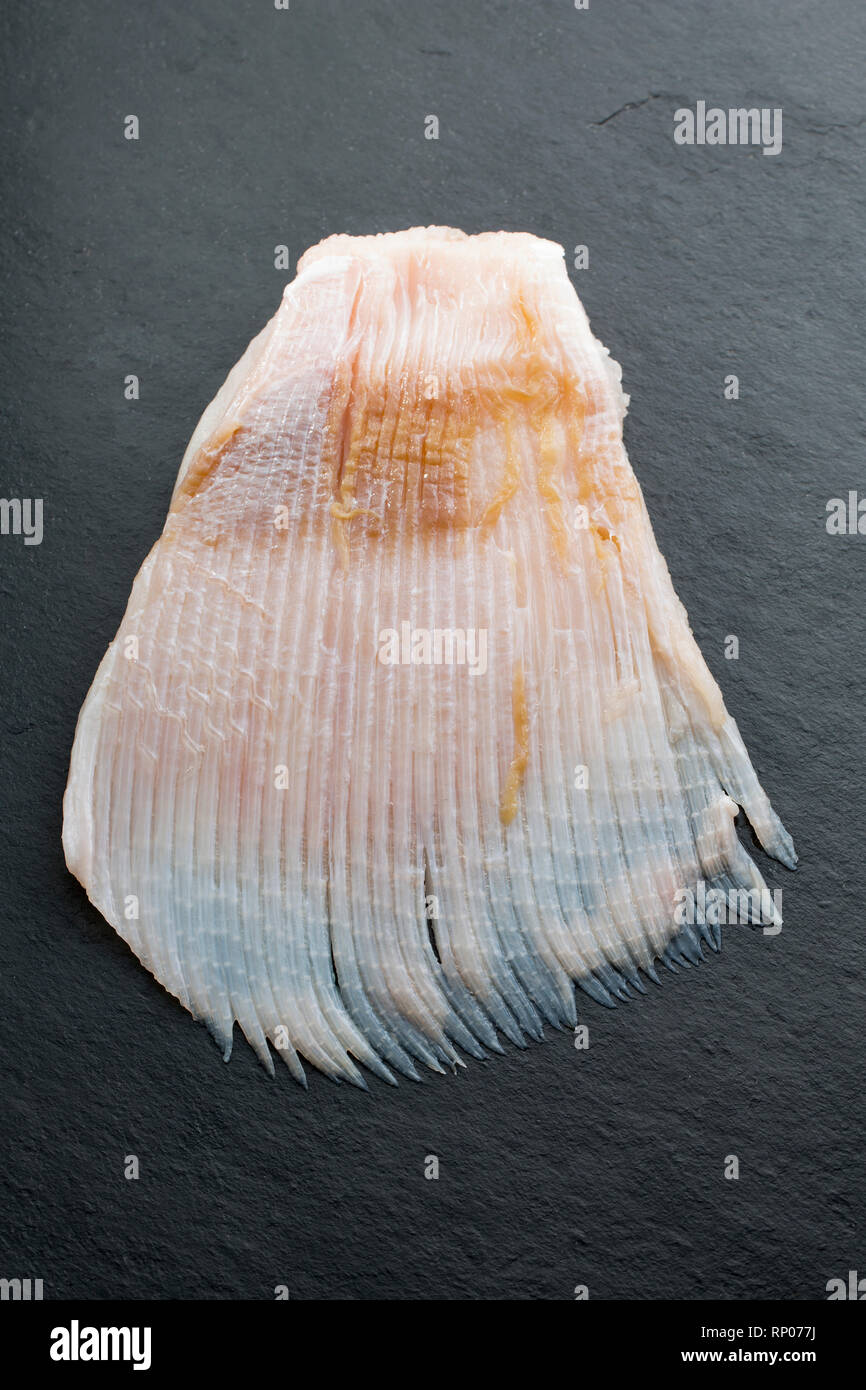 Uk ray wings hi-res stock photography and images - Alamy