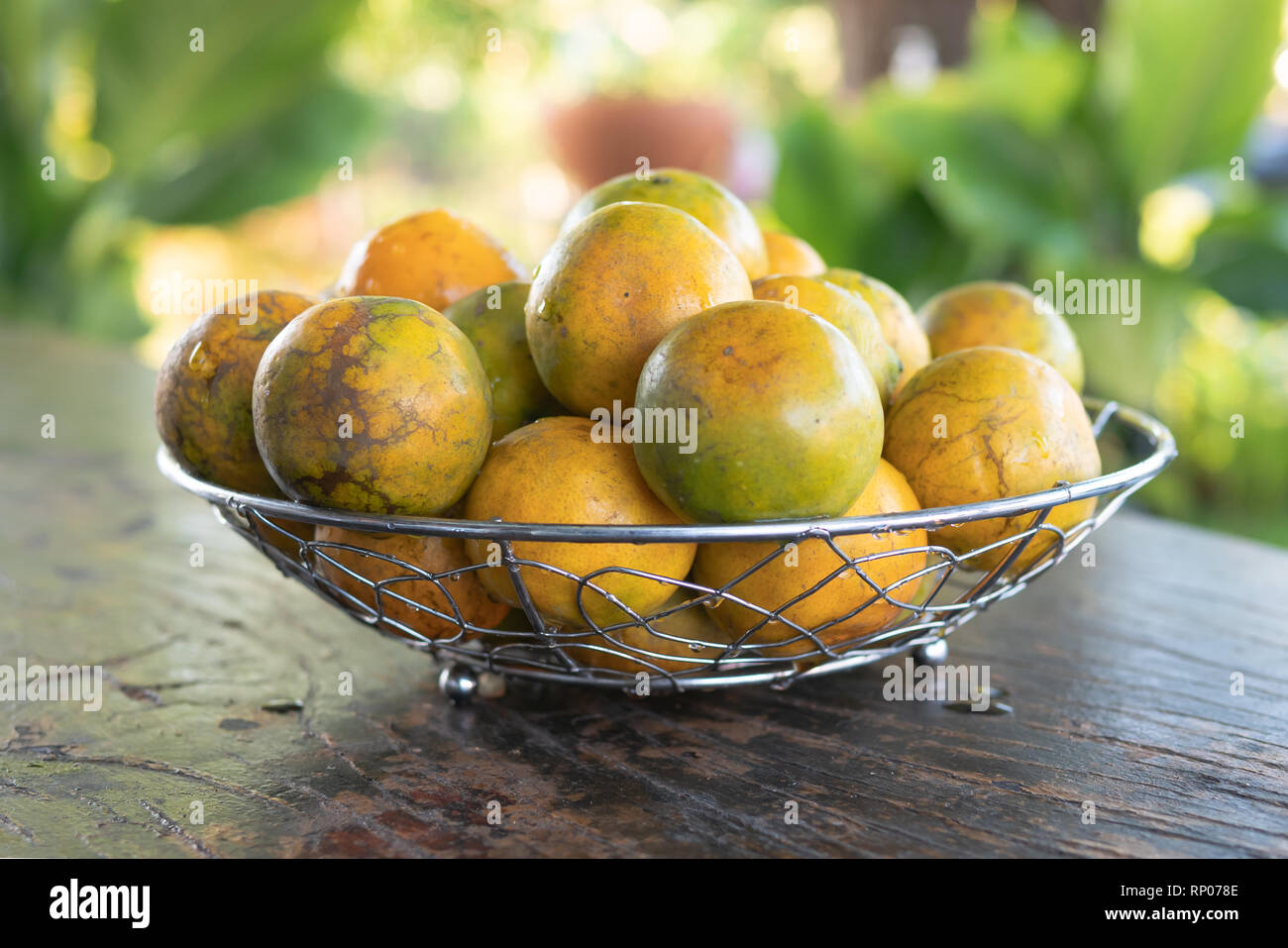Old tangerine hi-res stock photography and images - Alamy