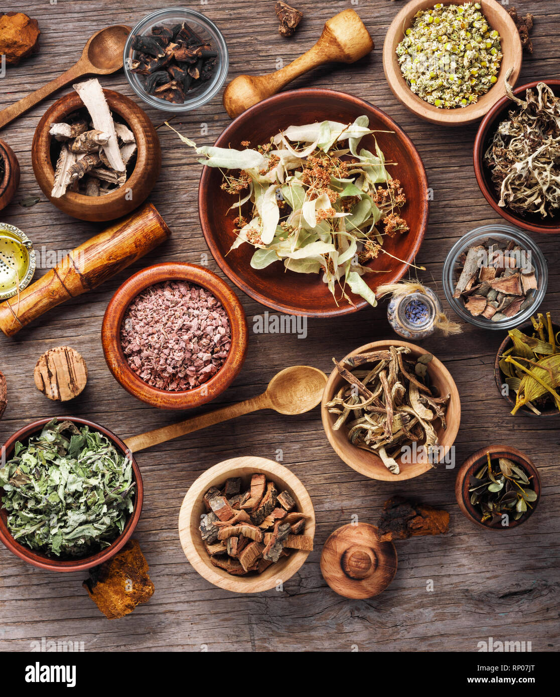 Big set of healing herbs, plants and medicinal roots.Herbal medicine ...