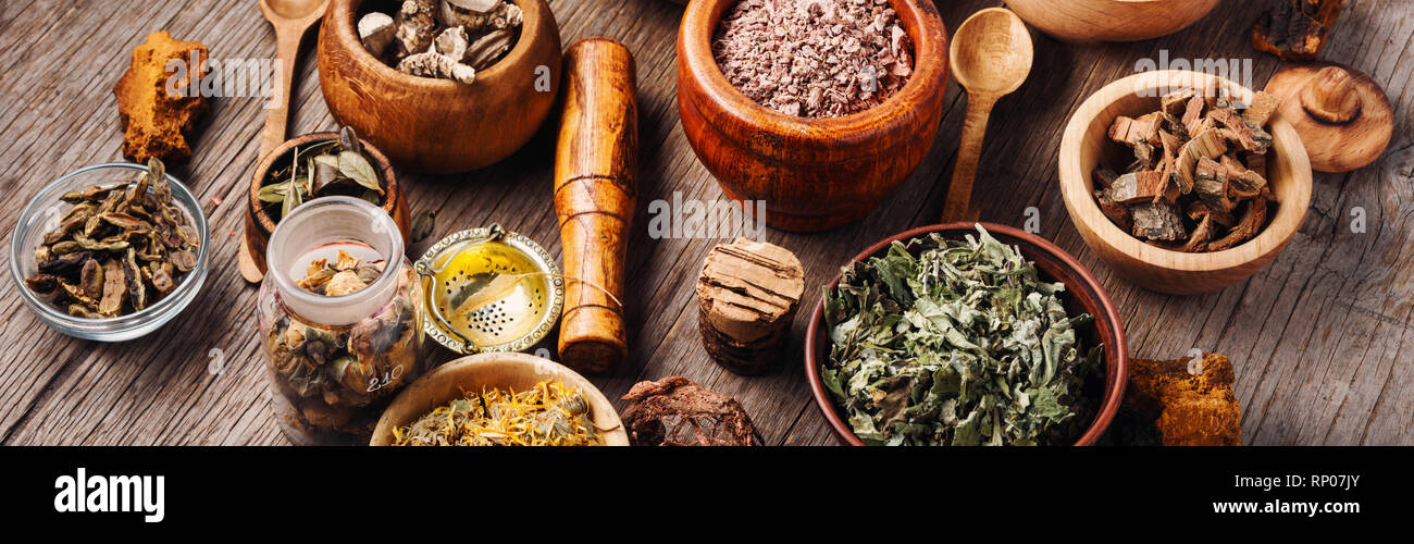 Big set of healing herbs, plants and medicinal roots.Long banner Stock ...