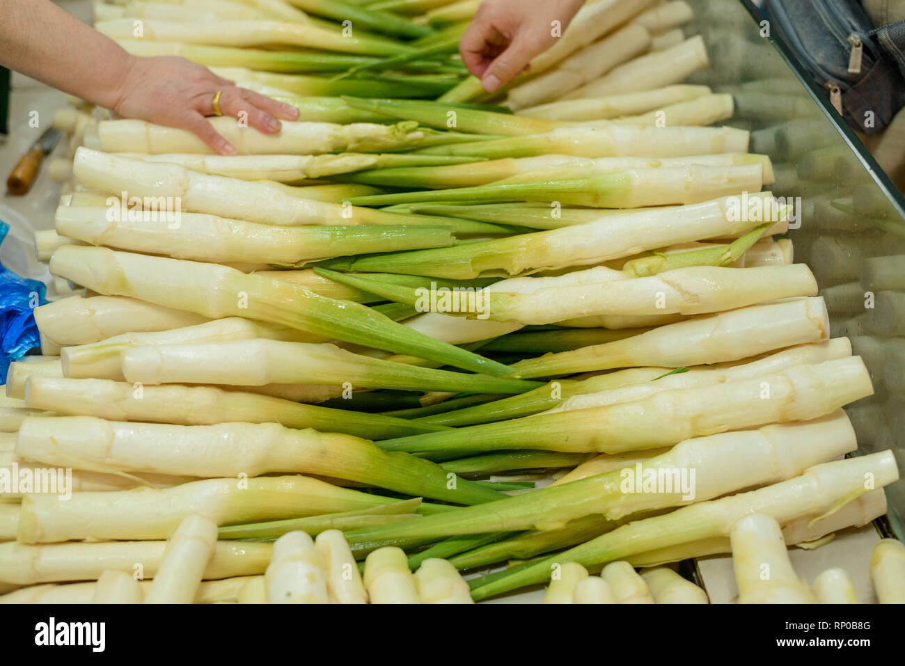 Heap of water bamboo Stock Photo - Alamy