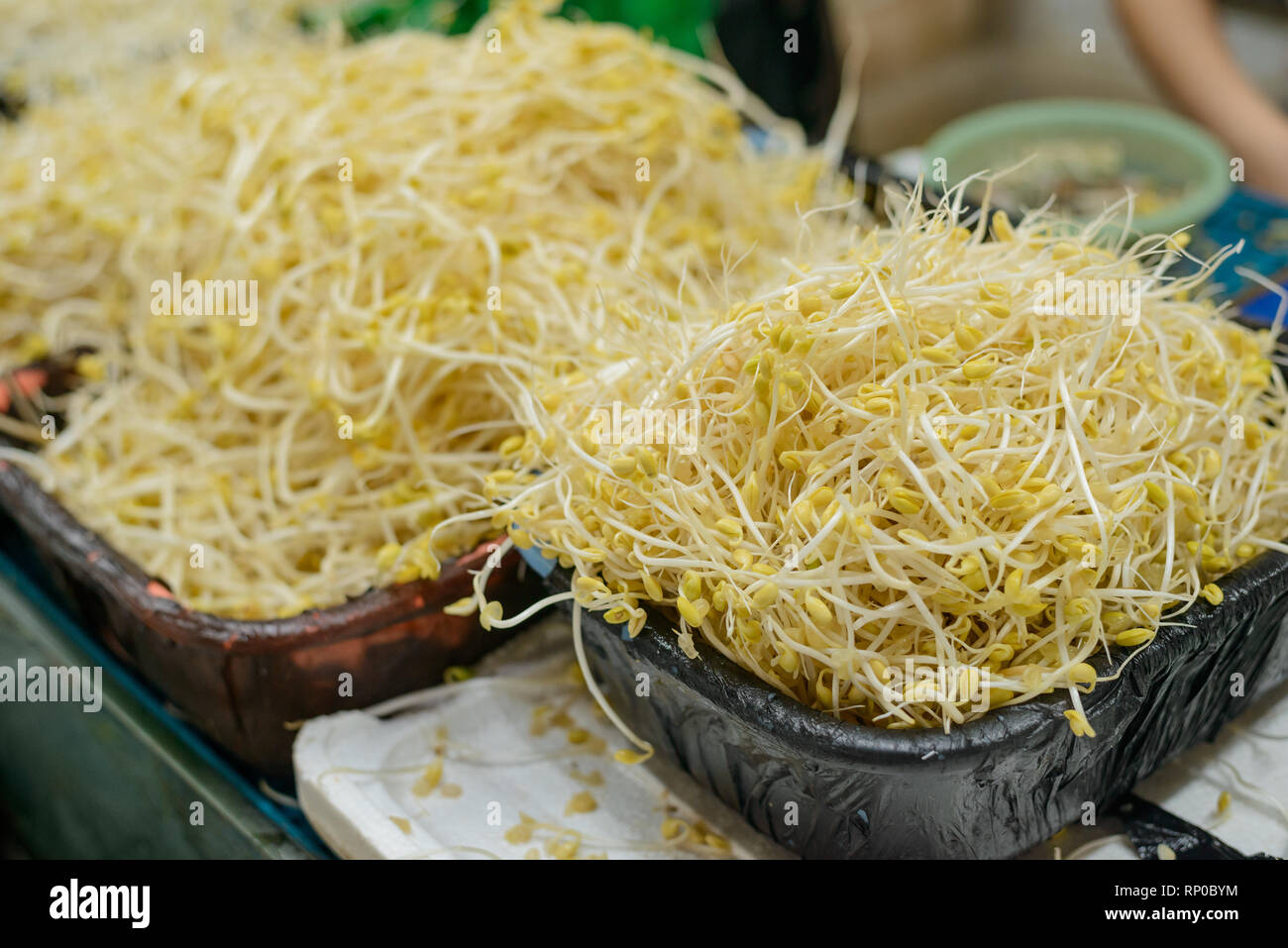 Soy bean sprouts hi-res stock photography and images - Alamy