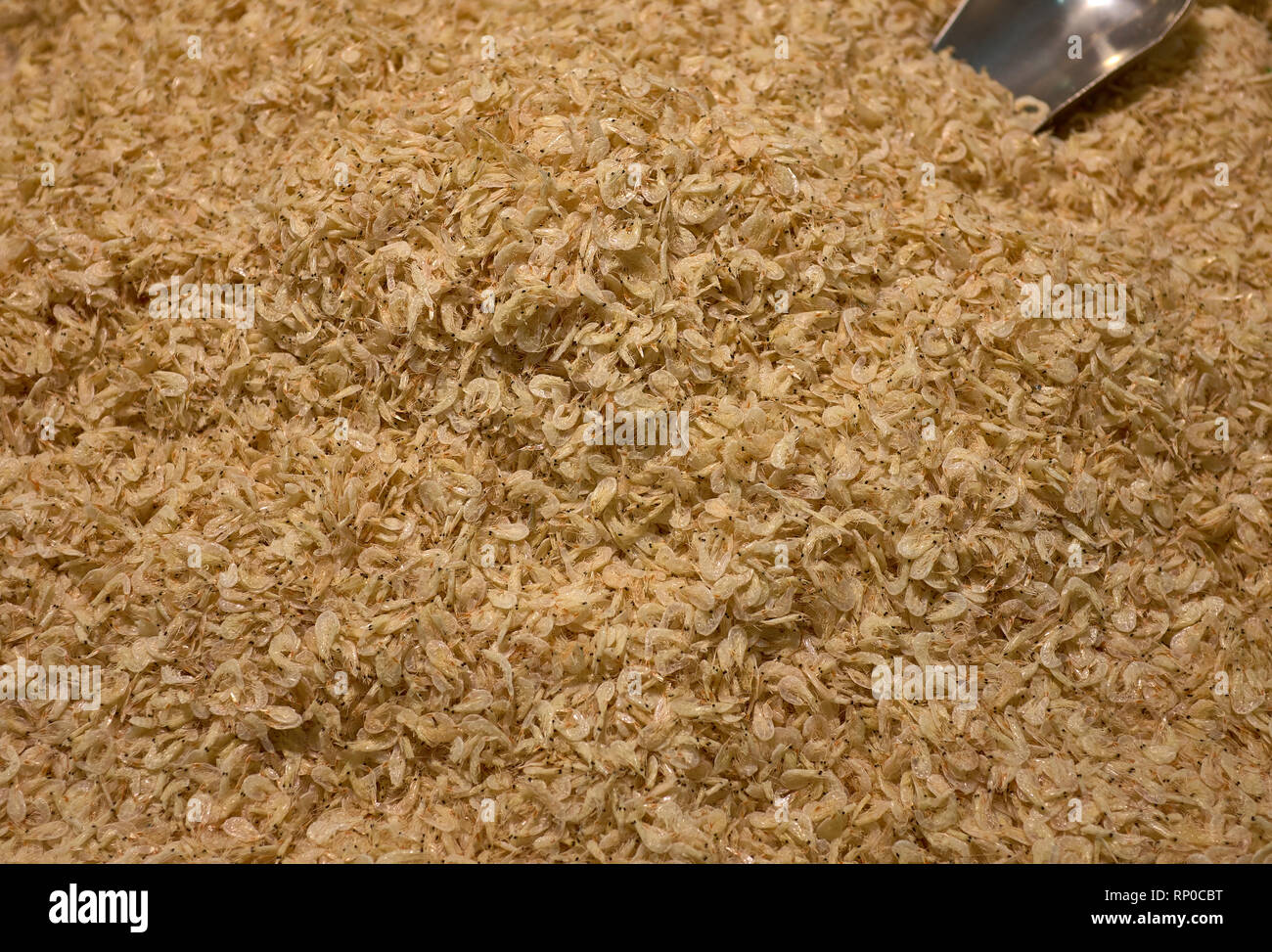 Shrimp drying hi-res stock photography and images - Alamy