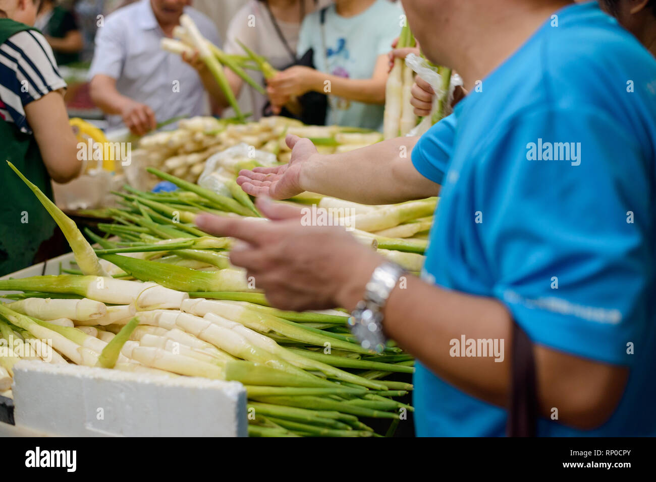 Stem Vegetables