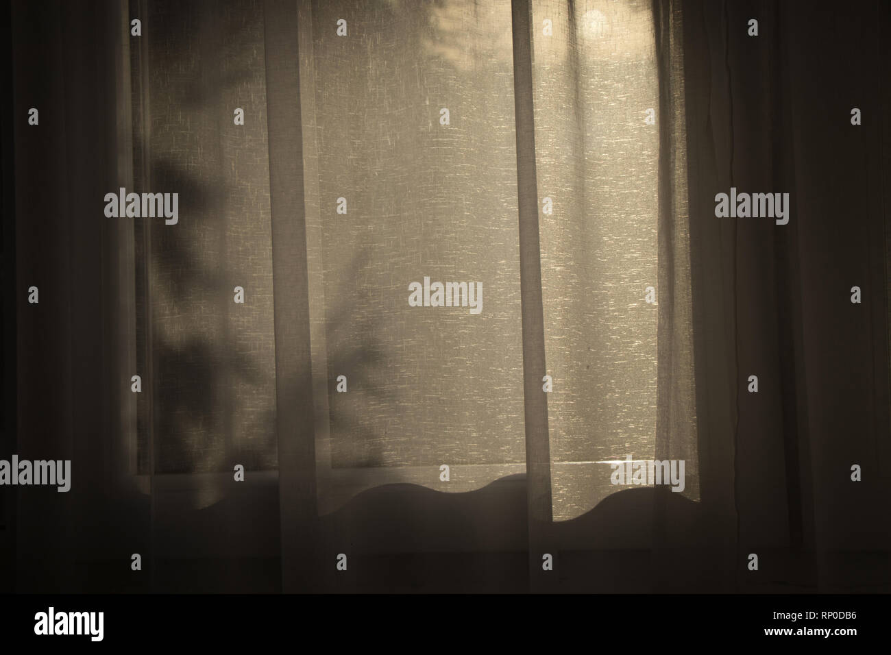 Curtain silhouette shadow abstract hi-res stock photography and images ...