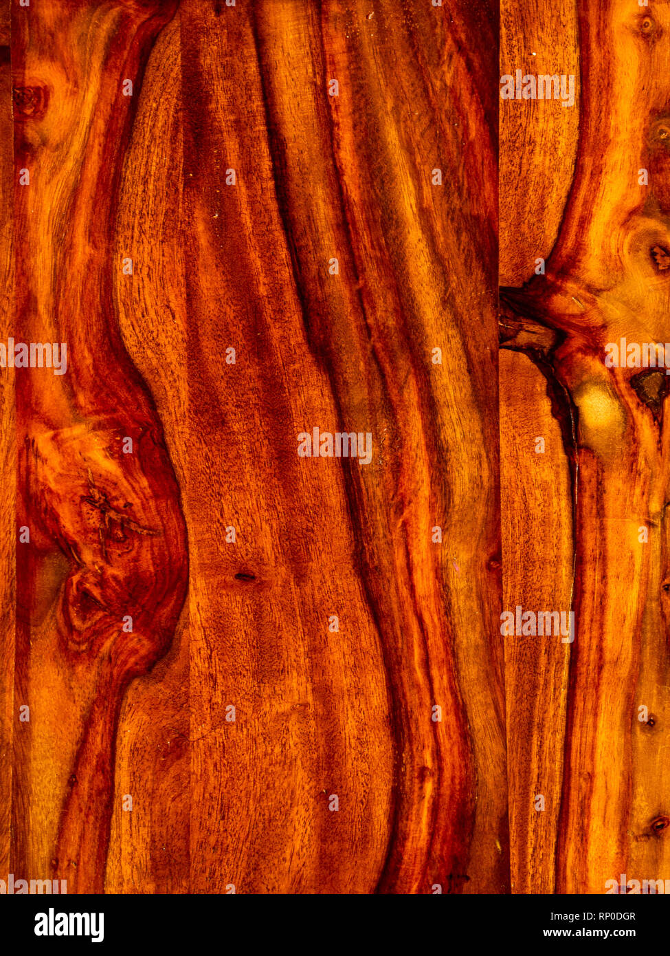 Acacia panel hi-res stock photography and images - Alamy