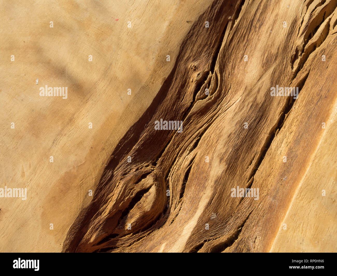 The texture of the natural vintage rustic solid wood. Background Stock ...