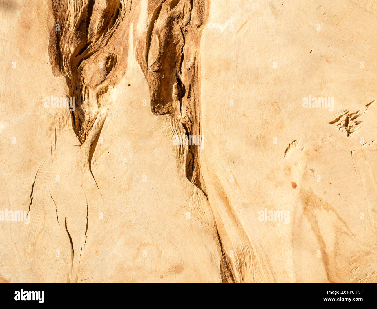 The texture of the natural vintage rustic solid wood. Background with ...