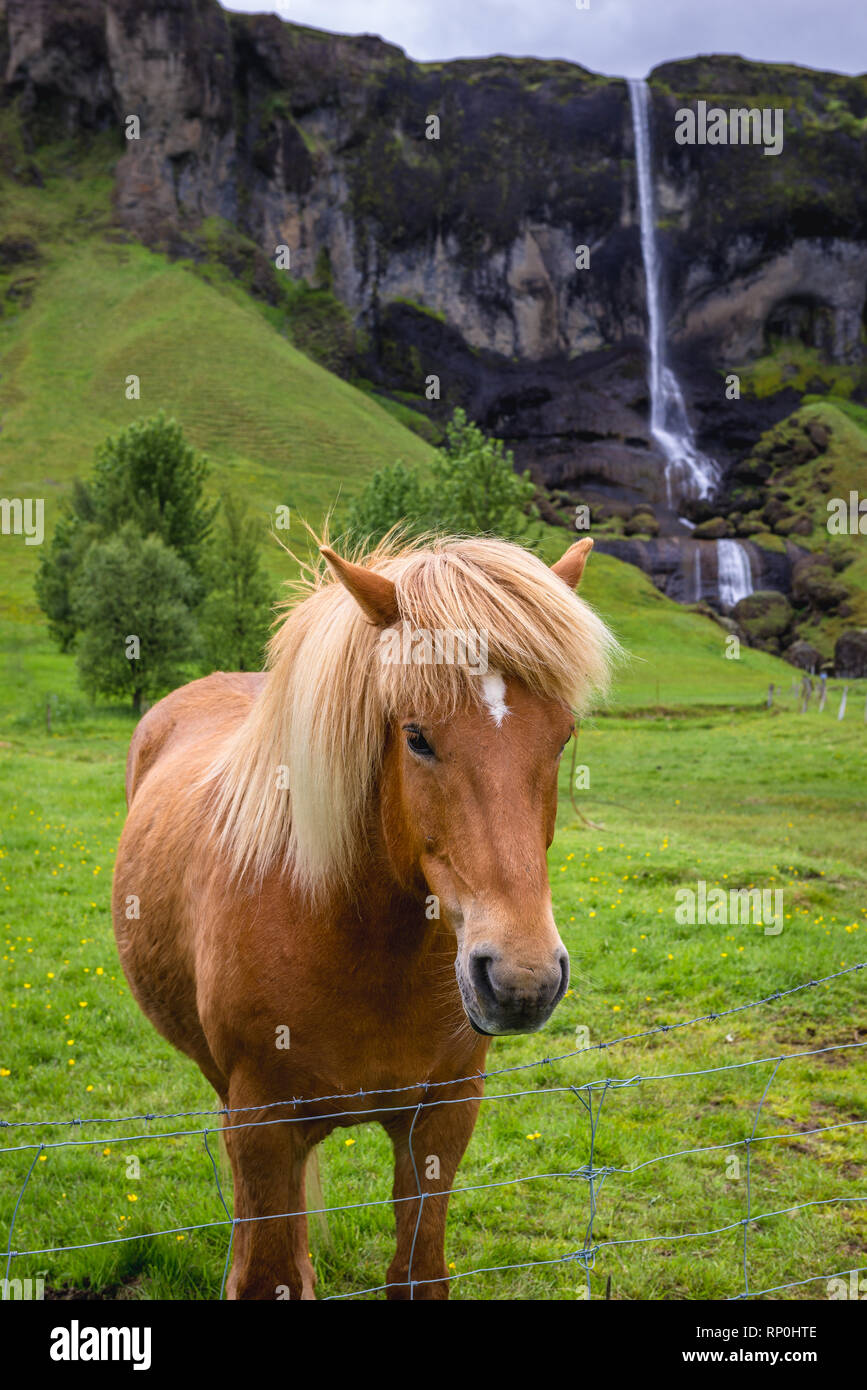 Foss island hi-res stock photography and images - Alamy