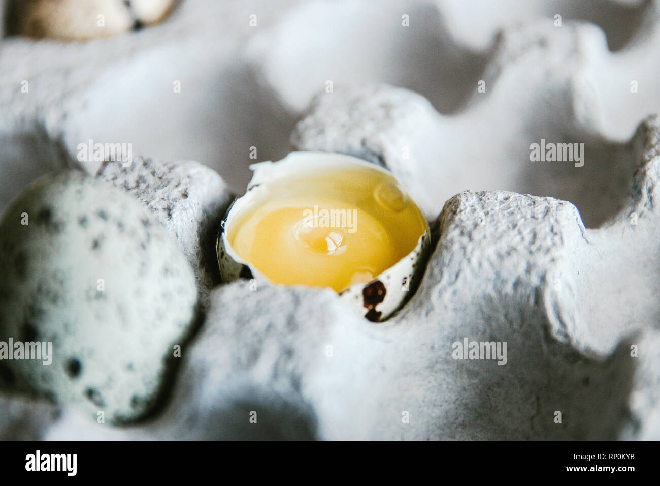 Quail eggs in cardboard packaging. Yolk of quail eggs without shell ...