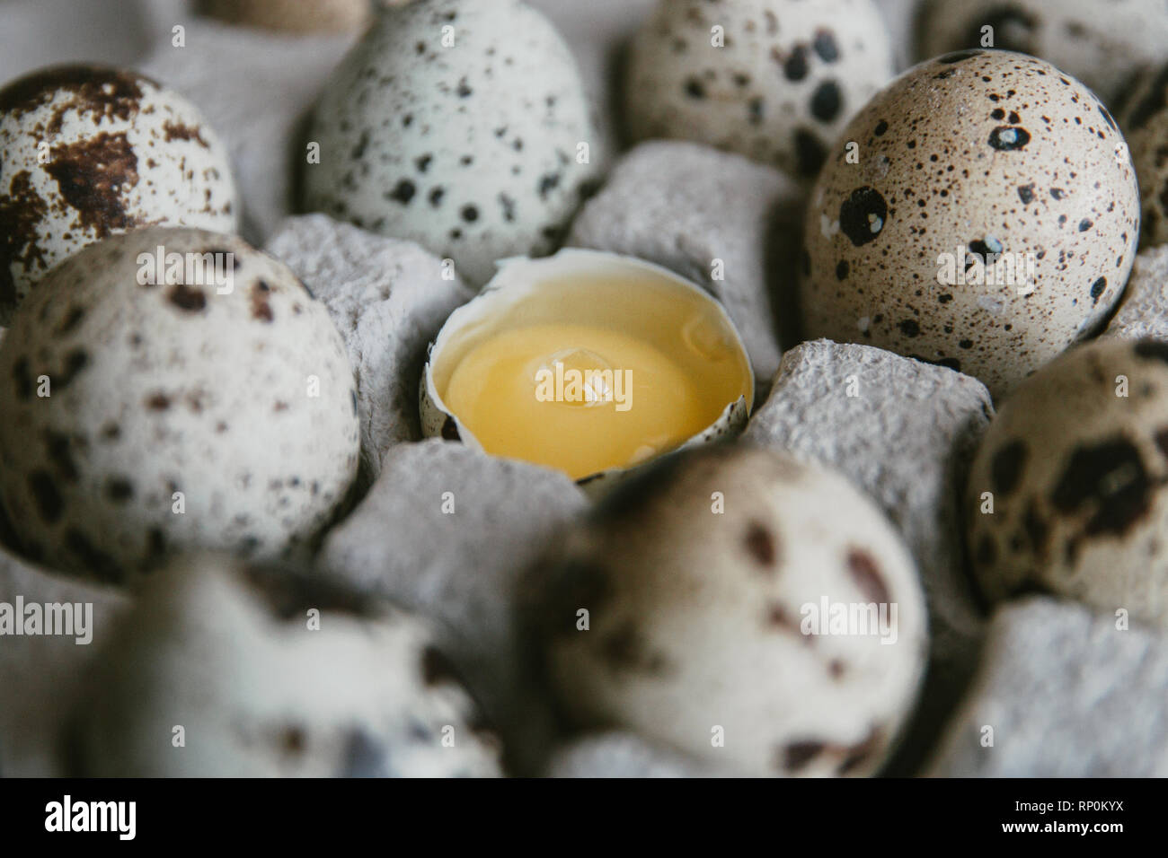 Quail eggs in cardboard packaging. Yolk of quail eggs without shell ...