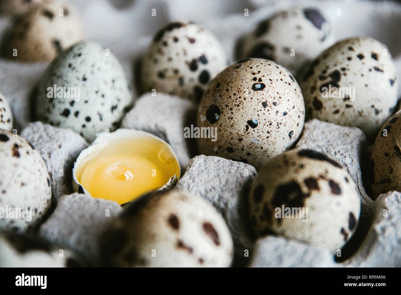 Quail eggs in cardboard packaging. Yolk of quail eggs without shell ...