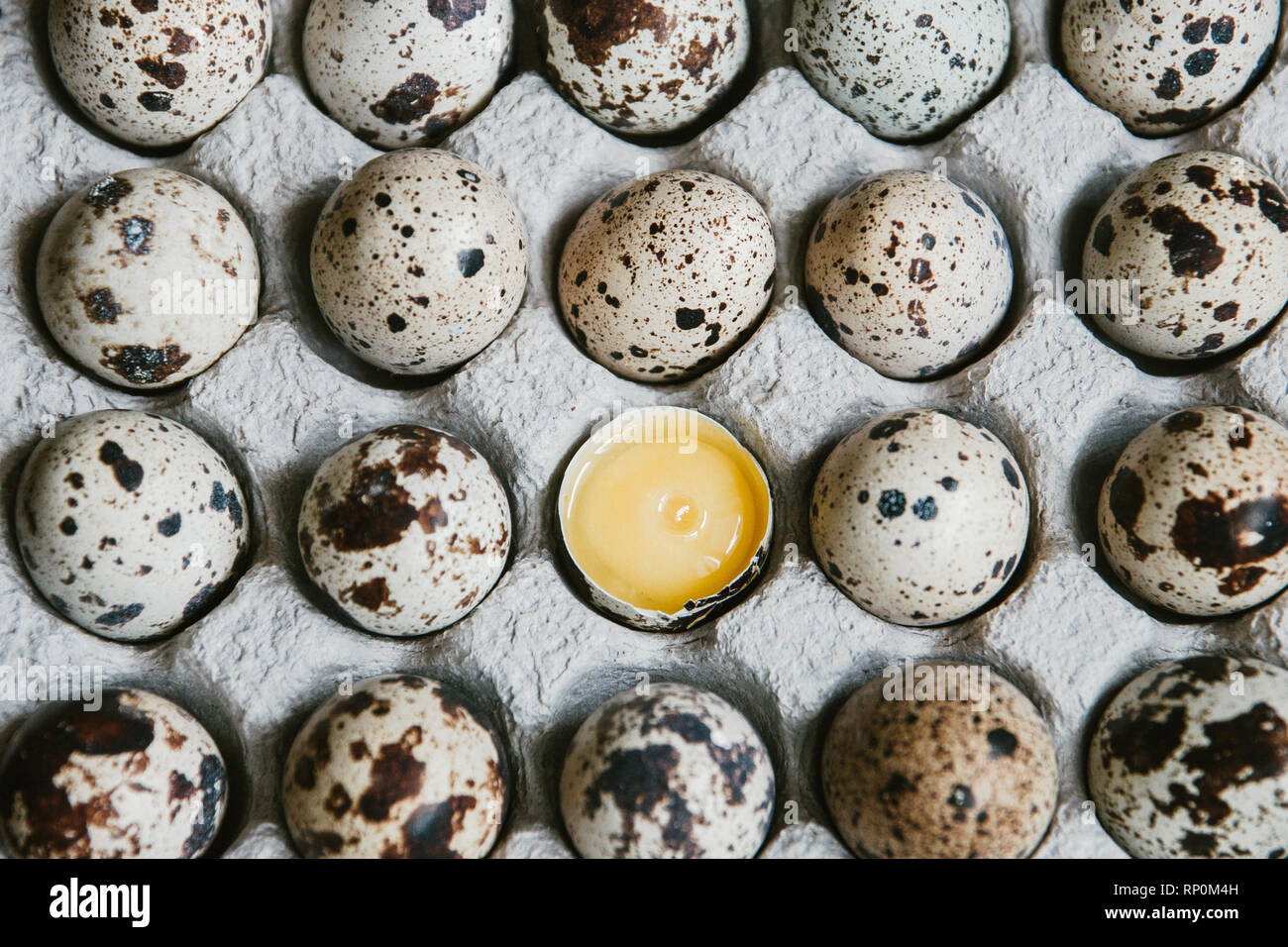 Quail eggs in cardboard packaging. Yolk of quail eggs without shell ...
