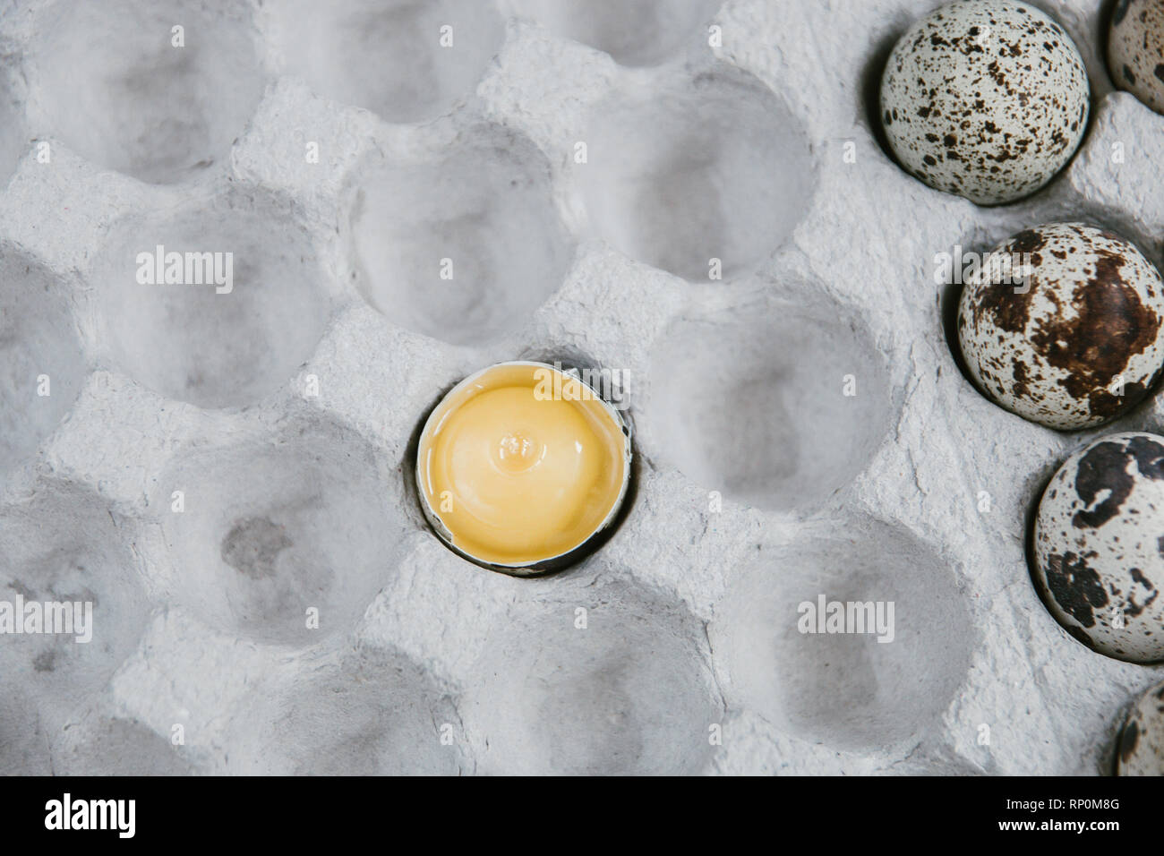 Quail eggs in cardboard packaging. Yolk of quail eggs without shell ...