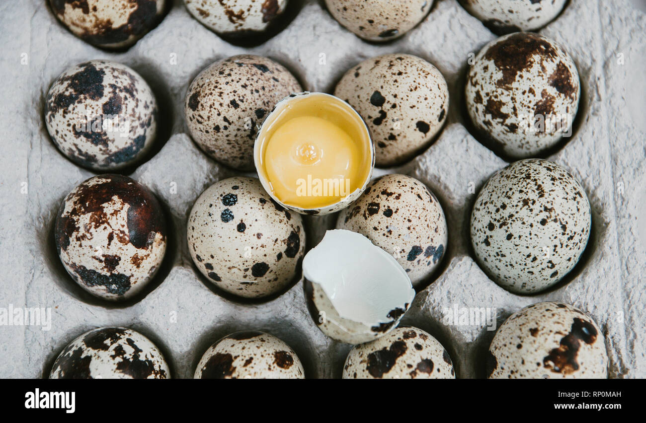 Quail eggs in cardboard packaging. Yolk of quail eggs without shell ...