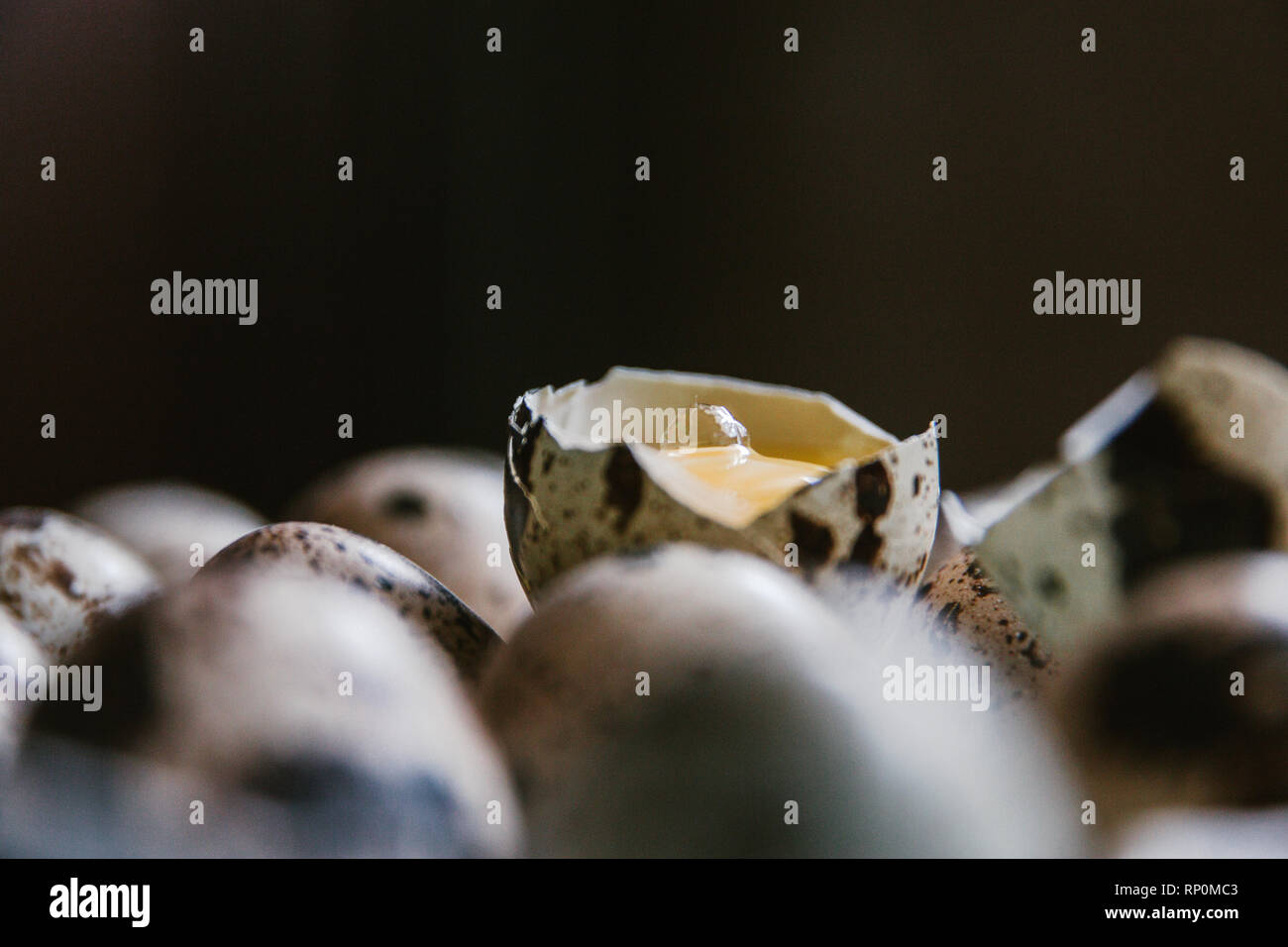 Quail eggs in cardboard packaging. Yolk of quail eggs without shell ...