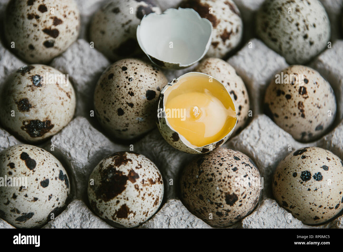 Quail eggs in cardboard packaging. Yolk of quail eggs without shell ...
