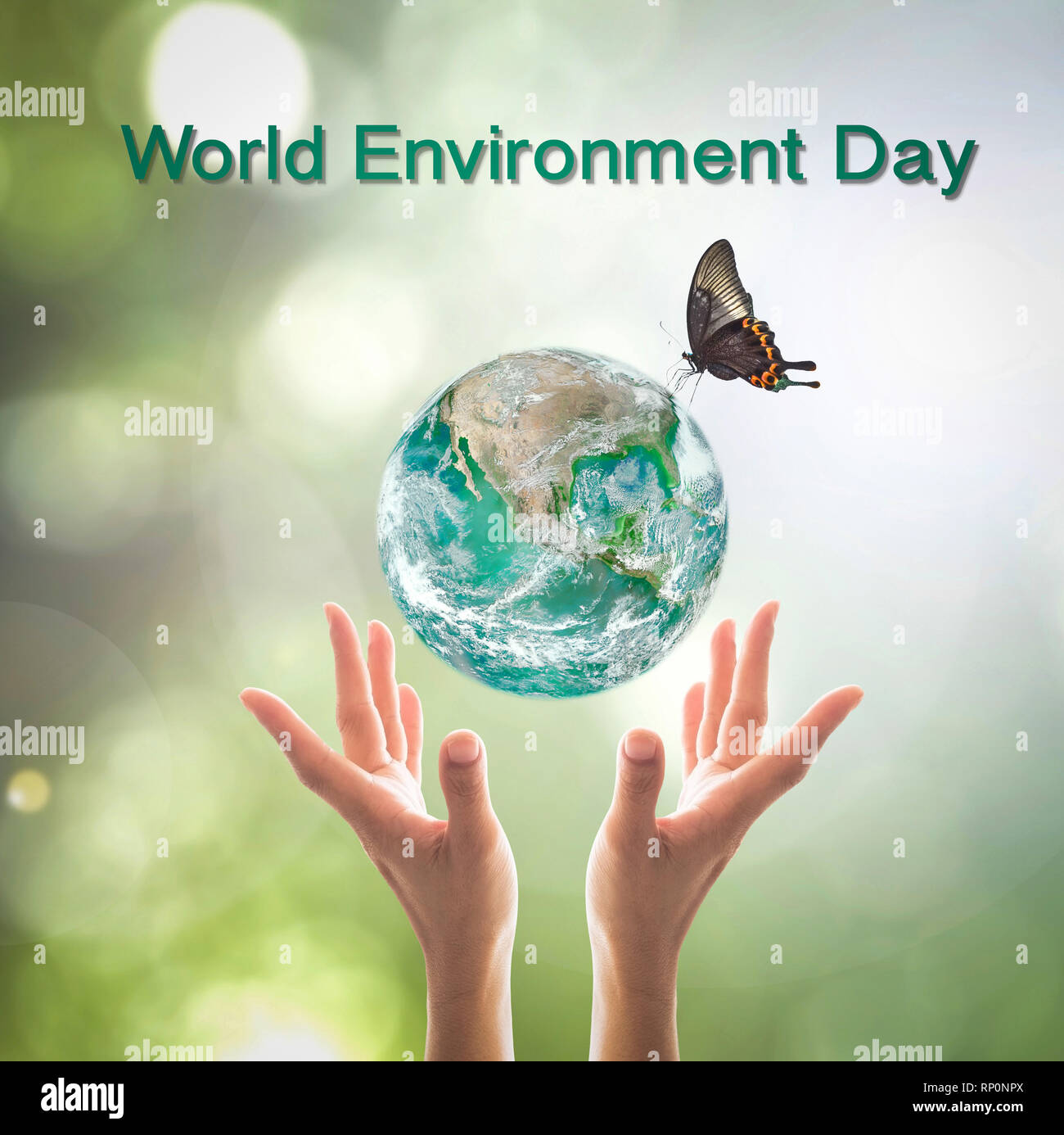Biodiversity conservation campaign hi-res stock photography and images ...