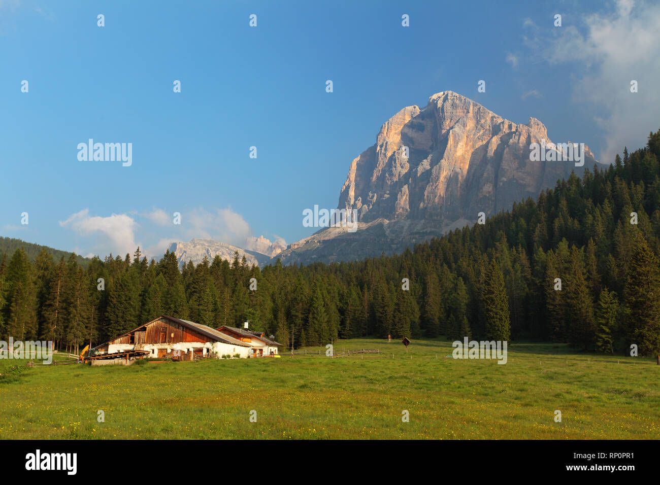 House farm with green forest and Tofane peak, Dolomites Alps Stock ...