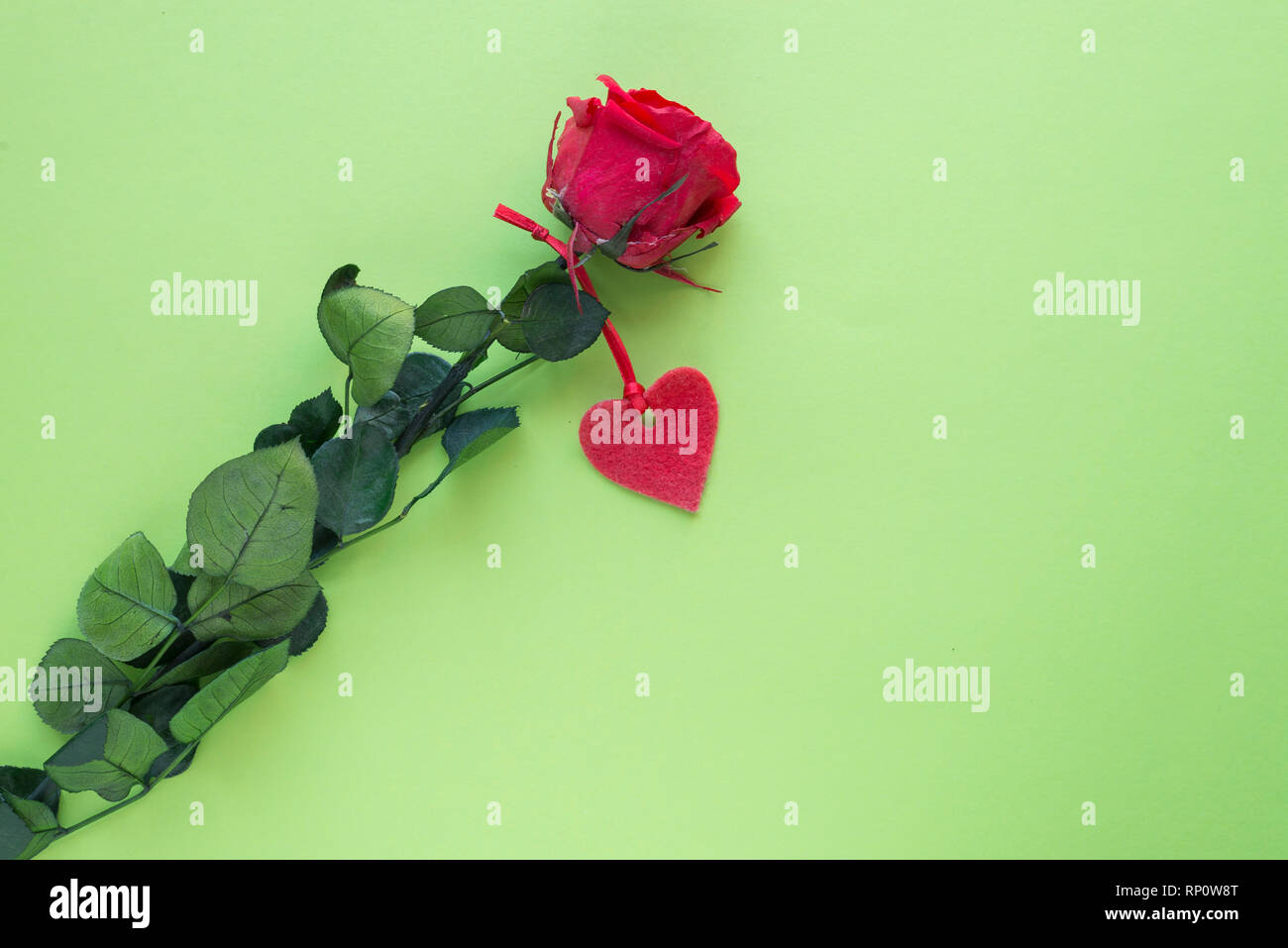 One red rose with a heart on a green surface. Valentine's concept Stock ...
