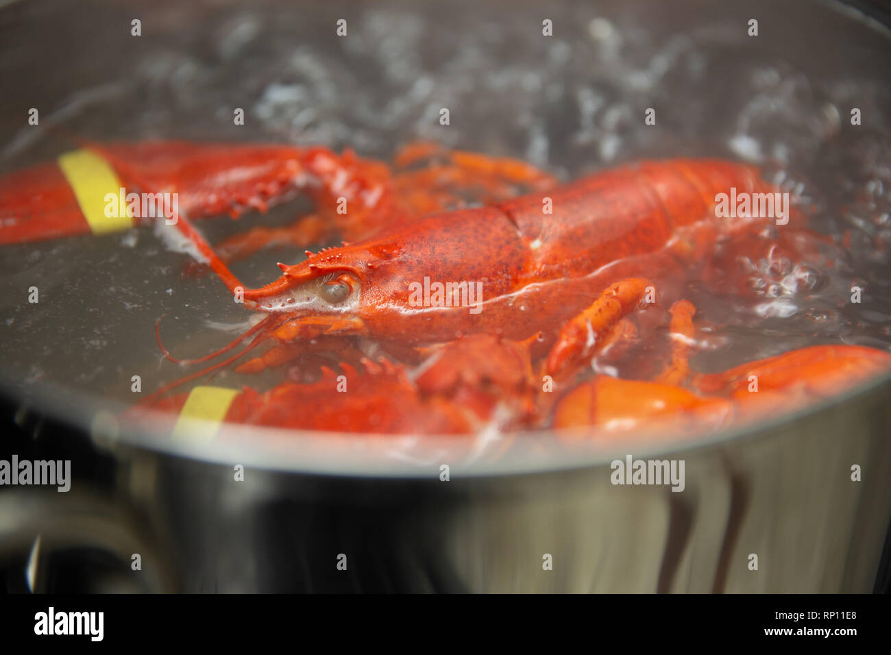 Boiling fish stove hi-res stock photography and images - Alamy