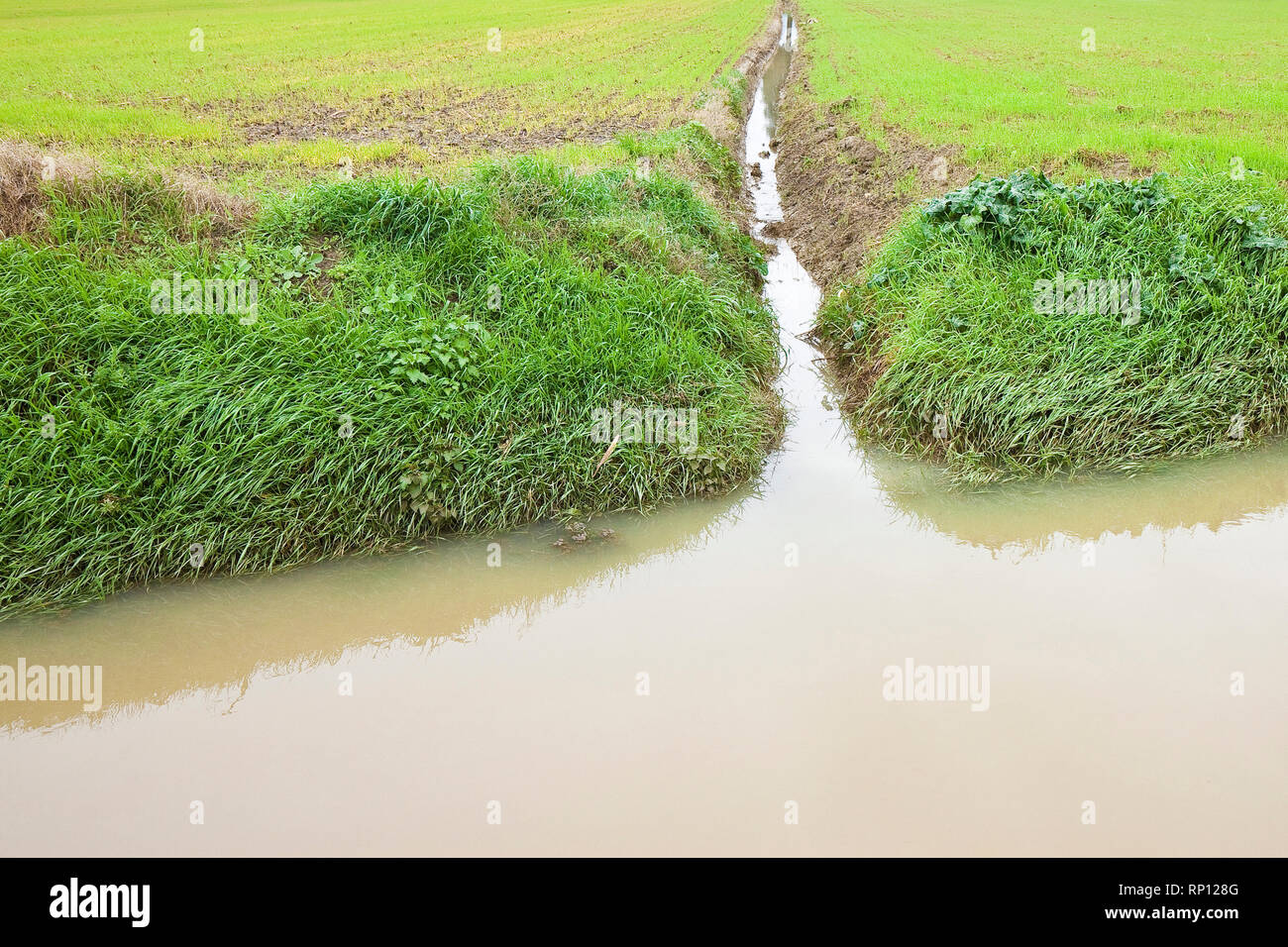 Water flooding irrigation ditch hi-res stock photography and images - Alamy