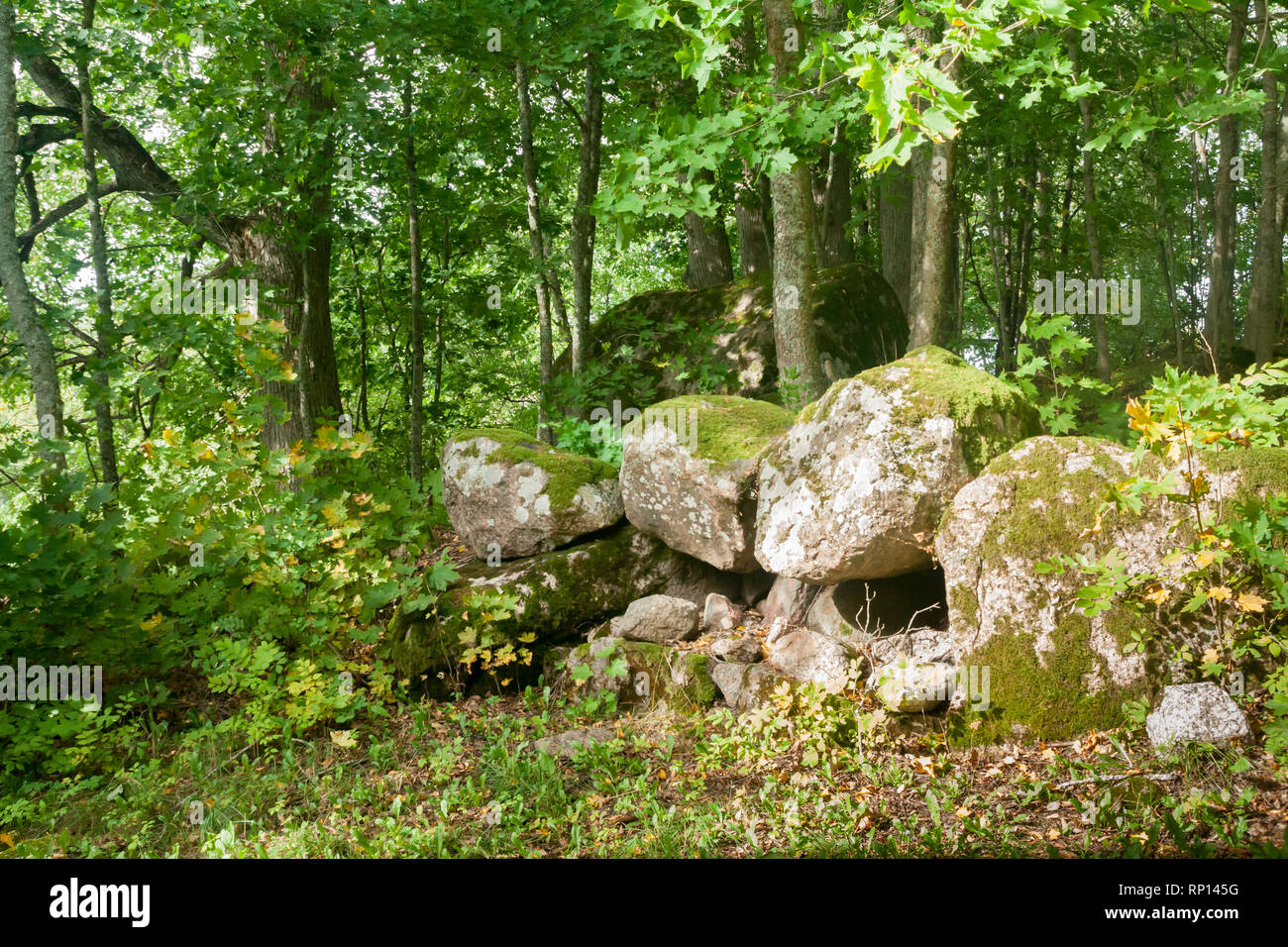 Big stones are in the forest in Finland at summer Stock Photo - Alamy