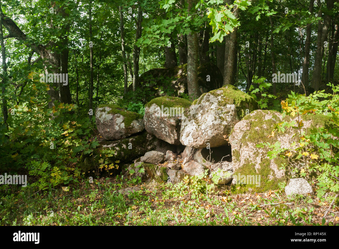 Big stones are in the forest in Finland at summer Stock Photo - Alamy