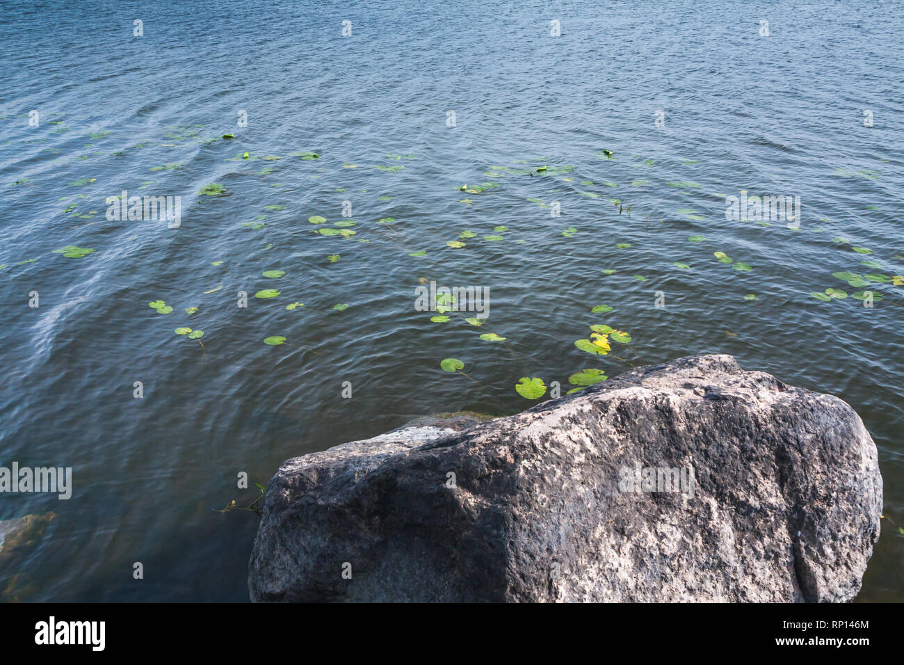 Big stone is in the lake in Finland at summer Stock Photo - Alamy