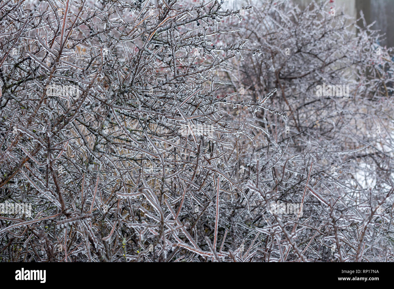 Coveren hi-res stock photography and images - Alamy