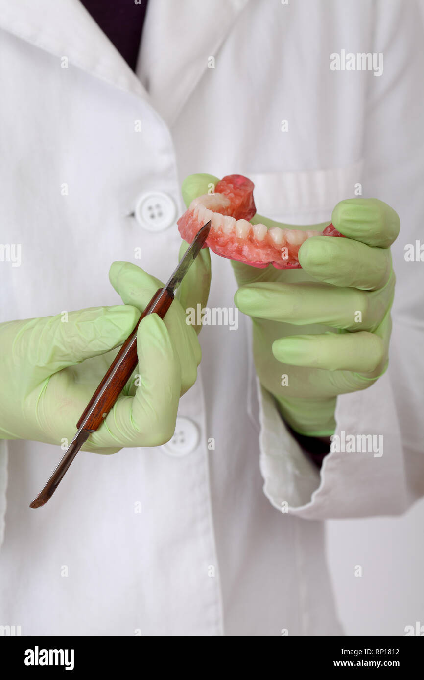 Dental modeling hi-res stock photography and images - Alamy