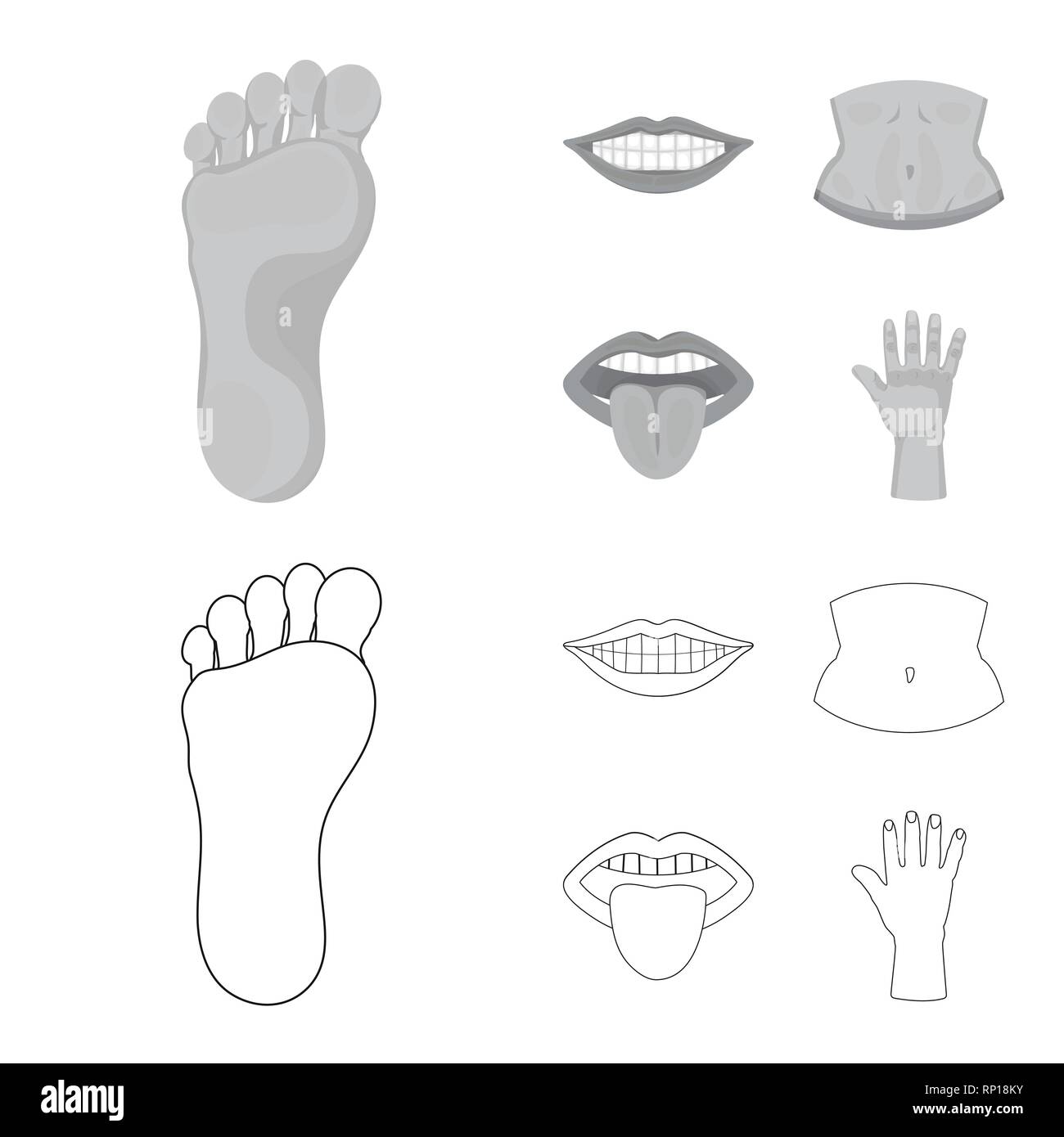 Isolated object of body and part icon. Set of body and anatomy stock ...
