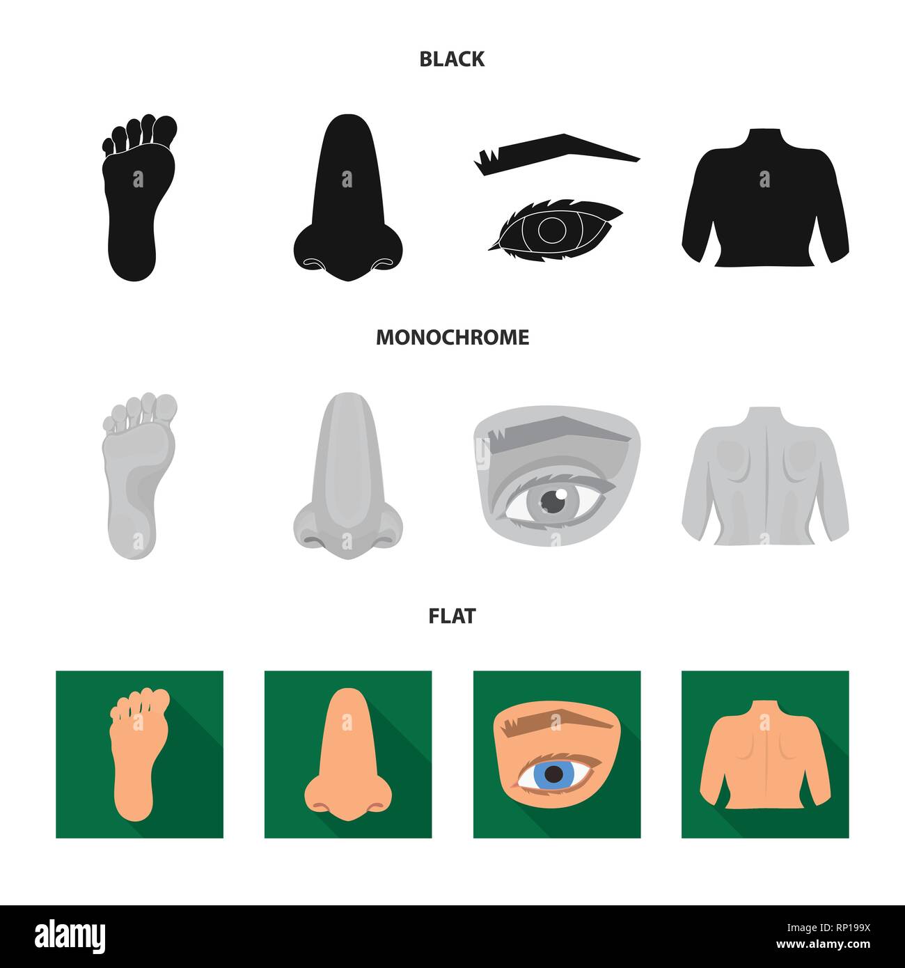 Isolated object of body and part sign. Collection of body and anatomy ...