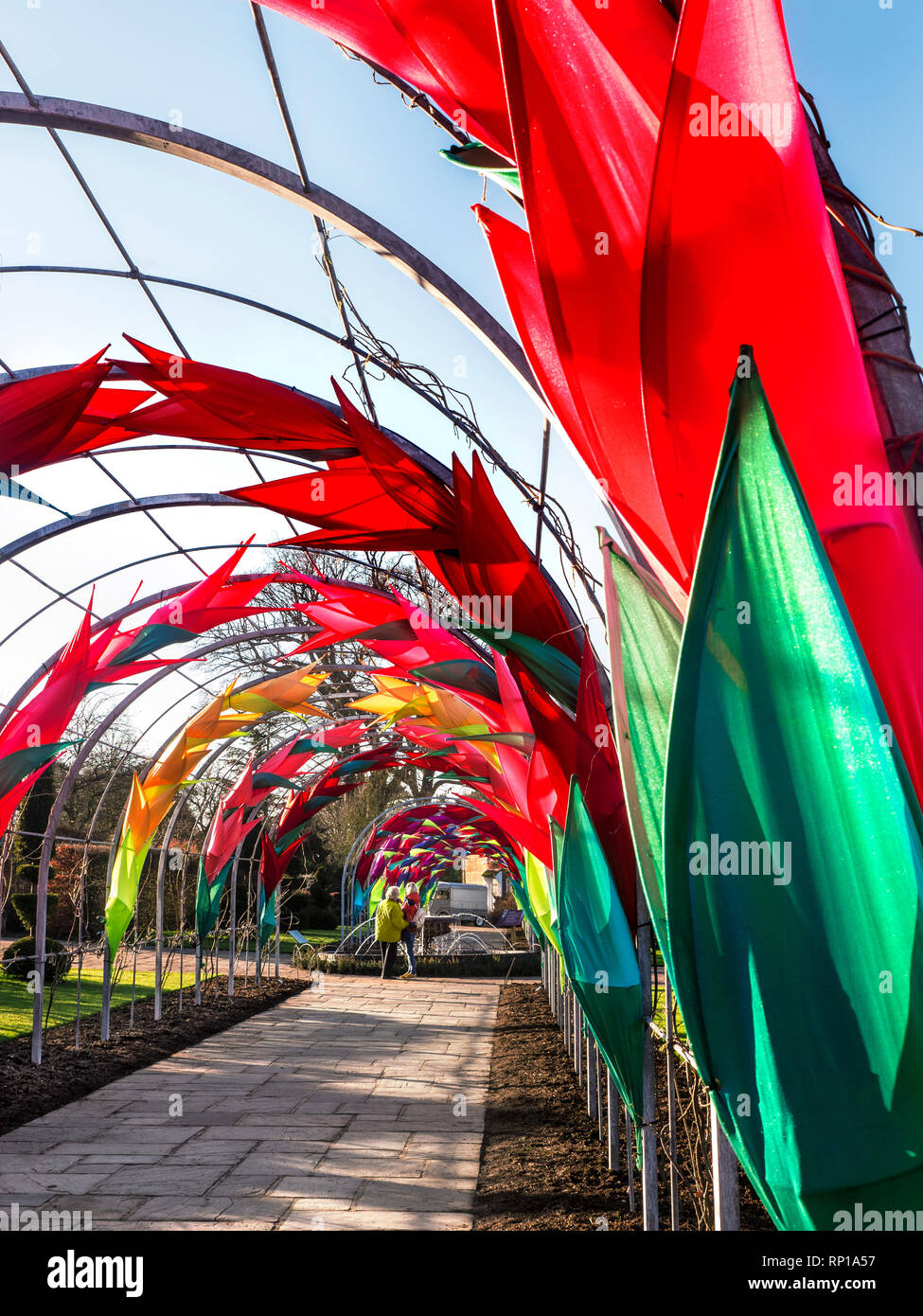 Wisteria Walk Tunnel Walkway colourfully dressed up for winter visitors ...