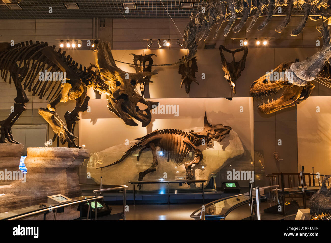 Japan, Honshu, Tokyo, Hibiya, Ueno Park, National Museum of Nature and ...