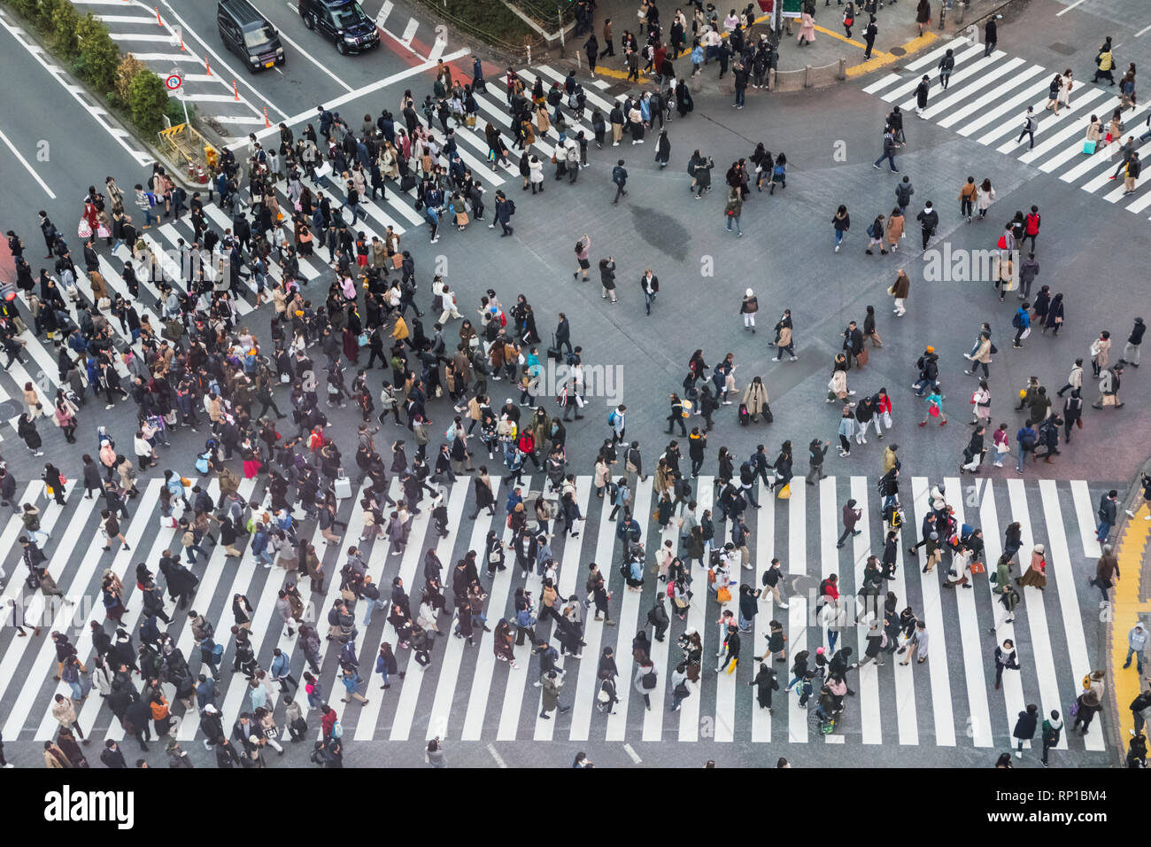 Japan, Honshu, Tokyo, Shibuya, Shibuya Crossing, Crowds Waiting to ...