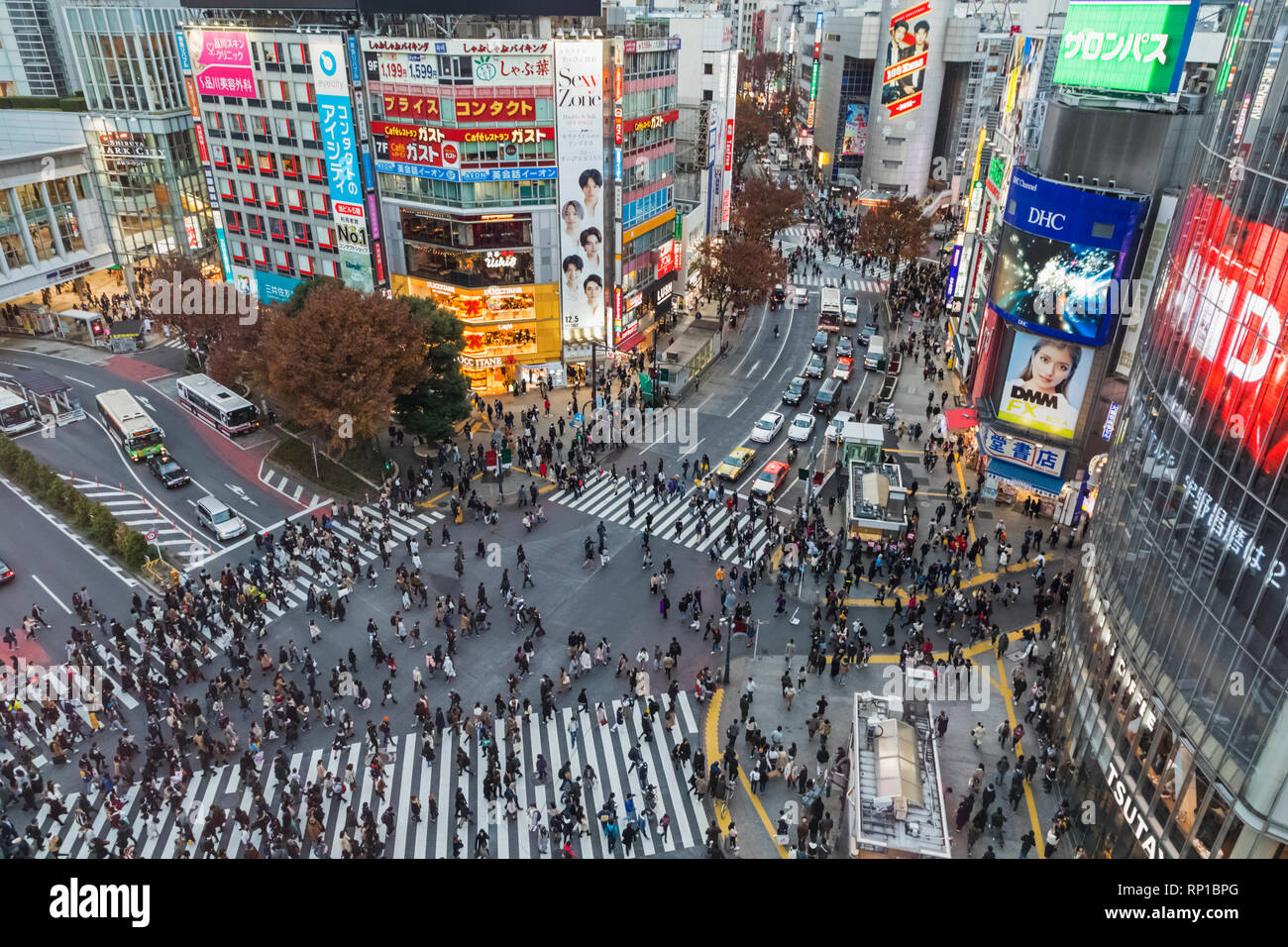 Japan, Honshu, Tokyo, Shibuya, Night Lights and Skyline Stock Photo - Alamy