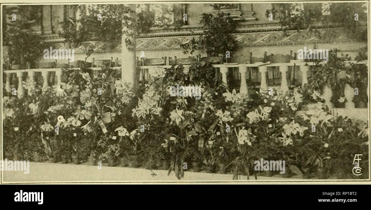 Percy chubb hi-res stock photography and images - Alamy